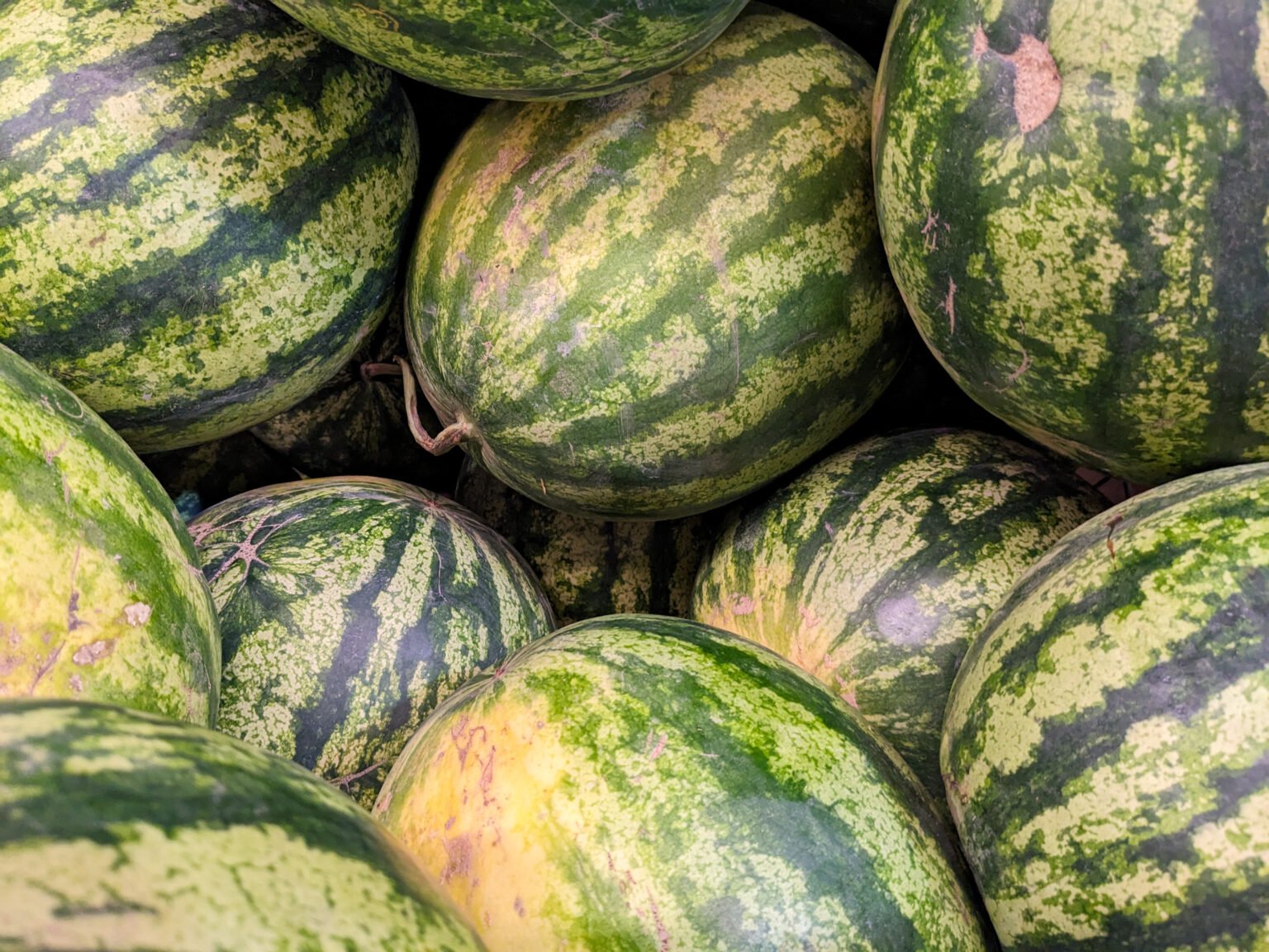How to Pick a Sweet Watermelon - Dimitras Dishes