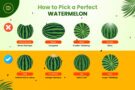 How to Pick a Sweet Watermelon - Dimitras Dishes