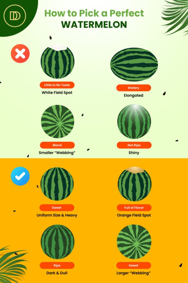 How to Pick a Sweet Watermelon - Dimitras Dishes