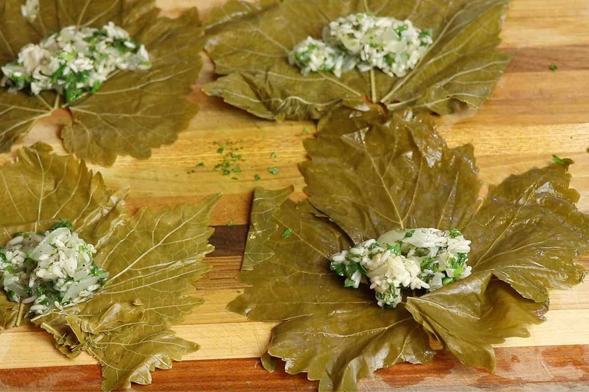 Greek Stuffed Grape Leaves: Dolmadakia - Dimitras Dishes